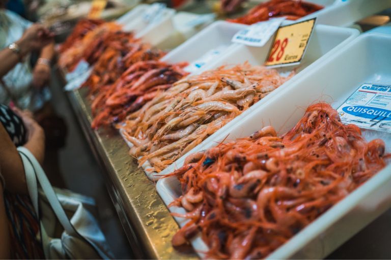 Garrucha: Qué Ver y Qué Hacer | El Pueblo de la Pesca